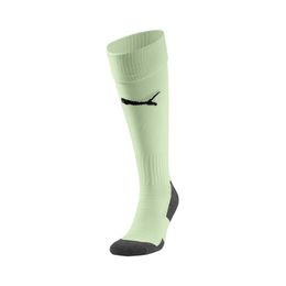 Puma Soccer Socks 'Team Liga' male Green size 47-49