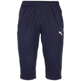 Puma Workout Pants male Blue size M