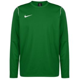 Nike Performance Shirt 'Park 20' male Green size S