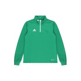 adidas Performance Athletic Sweatshirt 'Entrada 22' boy Green size 152