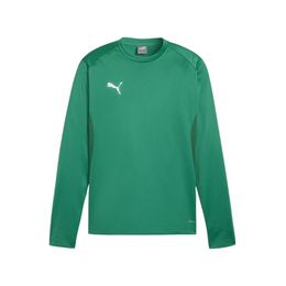 Puma Sportsweatshirt 'teamGOAL' Herren Gr&ouml;&szlig;e L gr&uuml;n / wei&szlig;