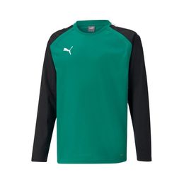 Puma Sportsweatshirt 'TeamLiga' Jungen Gr&ouml;&szlig;e 116 smaragd / schwarz / wei&szlig;