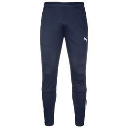 Puma Workout Pants 'TeamLiga' male Blue size XXXL