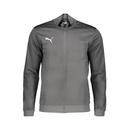 Puma Outdoor jacket 'Team Goal' male Grey size XXXL