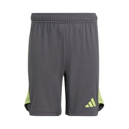 adidas Performance Workout Pants 'Tiro 25 Pro' boy Grey size 128