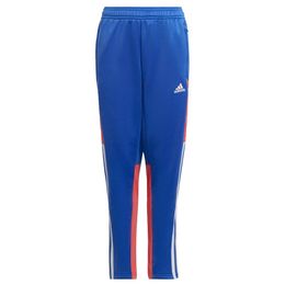 adidas Performance Workout Pants 'Condivo 22 Predator' boy Blue size 140