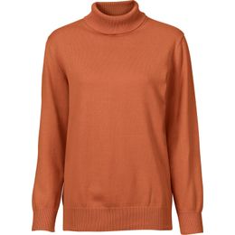 Rollkragenpullover