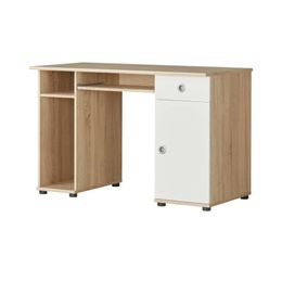M&ouml;bel Kraft Schreibtisch holzfarben Ma&szlig;e (cm): B: 120 H: 78 T: 60.0 &raquo; M&ouml;bel Kraft