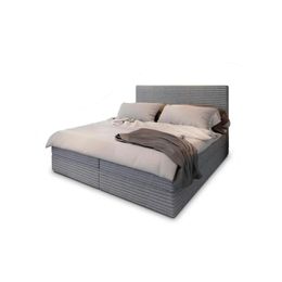 MASSENO Boxbett mit Bettkasten grau Ma&szlig;e (cm): B: 160 H: 98 &raquo; M&ouml;bel Kraft