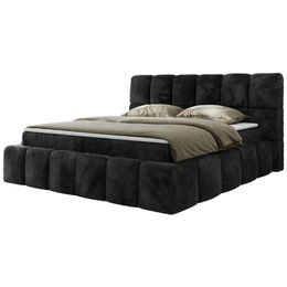 M&ouml;bel Kraft Boxbett mit Bettkasten grau Ma&szlig;e (cm): B: 214 H: 113 &raquo; M&ouml;bel Kraft