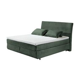 M&ouml;bel Kraft Boxspringbett gr&uuml;n Ma&szlig;e (cm): B: 185 H: 126 &raquo; M&ouml;bel Kraft
