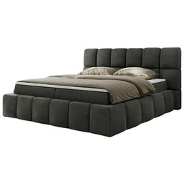 M&ouml;bel Kraft Boxbett mit Bettkasten grau Ma&szlig;e (cm): B: 194 H: 113 &raquo; M&ouml;bel Kraft