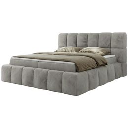M&ouml;bel Kraft Boxbett mit Bettkasten grau Ma&szlig;e (cm): B: 174 H: 113 &raquo; M&ouml;bel Kraft