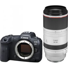 Canon EOS R5 + Canon RF 100-500mm f4,5-7,1L IS USM - Dealpreis