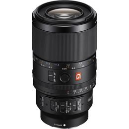 Sony SEL FE 100mm f2,8 Makro GM OSS