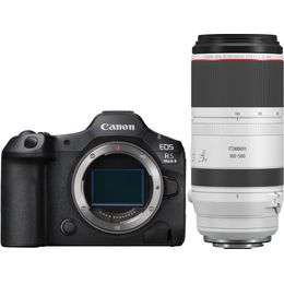 Canon EOS R5 II + RF 100-500mm f4,5-7,1L IS USM