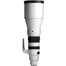 Sigma 300-600mm F4 DG OS (S) L-Mount