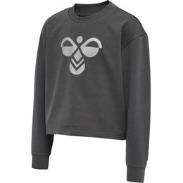 Hummel Kinder Sweatshirt "Hmlcinco Sweatshirt" in Grau | Gr.: 110