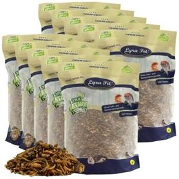 LYRA PET Protein Boost Insekten Mix - mit Mehlw&uuml;rmern, Shrimps & Grash&uuml;pfern 10 kg