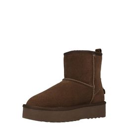 Steve Madden Boots 'Tessah' female Brown size 39