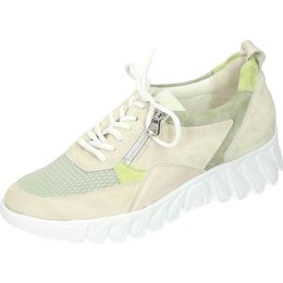 Waldl&auml;ufer WALDL&Auml;UFER Sneaker Damen Gr&ouml;&szlig;e 36 camel / khaki / hellgr&uuml;n