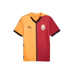 Puma Performance Shirt 'Galatasaray SK 24/25' male Mixed colors size XL