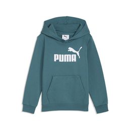 Puma Sweatshirt 'Ess No. 1' boy Green size 116