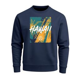 Neverless Sweatshirt 'Hawaii Beach' male Blue size L