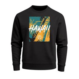Neverless Sweatshirt 'Hawaii Beach' male Black size 3 XL