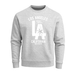 Neverless Sweatshirt 'LA California' male Grey size XL