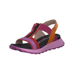 Hispanitas Sandals 'Maui HV243308' female Purple size 40