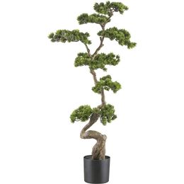 K&uuml;nstliche Pflanze Bonsai Kiefer, Kunststofftopf, H&ouml;he 1250 mm kaiserkraft