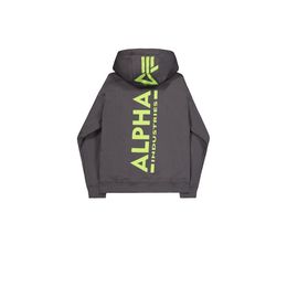 Alpha Industries Sweatshirt 'Backprint' male Grey size S
