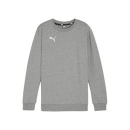 Puma Sportsweatshirt 'GOAL' Jungen Gr&ouml;&szlig;e 176 grau / wei&szlig;