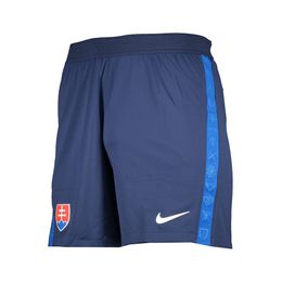 Nike Workout Pants male Blue size S