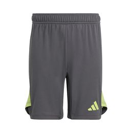 adidas Performance Workout Pants 'Tiro 25 Pro' boy Grey size 152