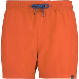 Regatta Mawson III Herren Schwimmshorts orange XL - Herrenhosen & -shorts
