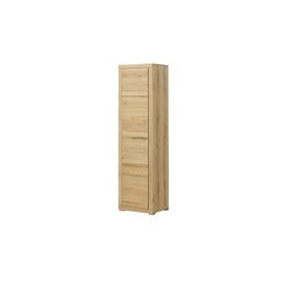 Smart Aktenschrank holzfarben Ma&szlig;e (cm): B: 51 H: 189 T: 42.0 &raquo; M&ouml;bel Kraft