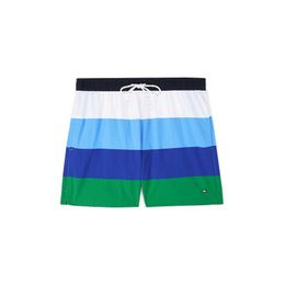 Tommy Hilfiger Board Shorts male Blue size S