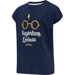 Hummel Shirt "Hmlharry Potter Diez T-Shirt S/S" in Blau | Gr.: 116