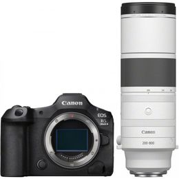 Canon EOS R5 II + RF 200-800mm f6,3-9 IS USM