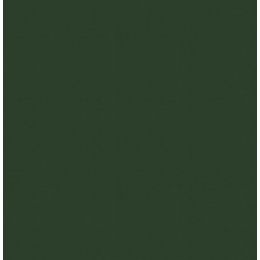 WOW Vliestapete "Uni ElegantFloral", B/L: 0,52m x 10,05m, gr&uuml;n, Wohnzimmer, Tapeten, Uni Elegante Bl&auml;tter Gr&uuml;n 10mx52cm