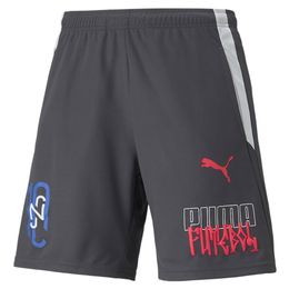 Puma Shorts 'Neymar Jr' Herren Gr&ouml;&szlig;e L blau / dunkelgrau / hellrot / wei&szlig;