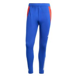 adidas Performance Workout Pants 'Tiro 24 Competition' male Blue size S