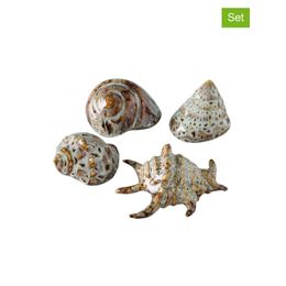 Boltze 4er-Set: Muscheln in Creme/ Braun - (H)4 cm - 16% | Dekofiguren