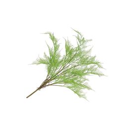 daan kromhout Dekozweig "Fern Asparagus" in Gr&uuml;n/ Braun - (H)77 cm - 61% | Kerzen-vasen