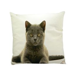 MARS & MORE Mars & More Kissen "British Shorthair" in Braun/ Wei&szlig; - (L)50 x (B)50 cm - 33% | Dekokissen