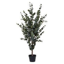 House Nordic Kunstpflanze "Eucalyptus Tree" in Gr&uuml;n - (H)120 cm - 56% | Kerzen-vasen