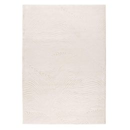 Pierre Cardin Kurzflor-Teppich "Nancy" in Creme - 55% | Gr&ouml;&szlig;e 120x170 cm |