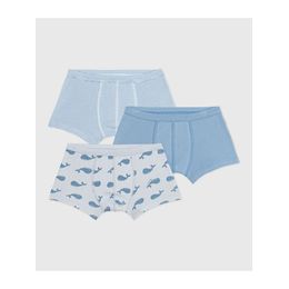 Petit Bateau 3er-Set: Boxershorts in Hellblau/ Wei&szlig; - 48% | Gr&ouml;&szlig;e 152 | Kinder-waesche